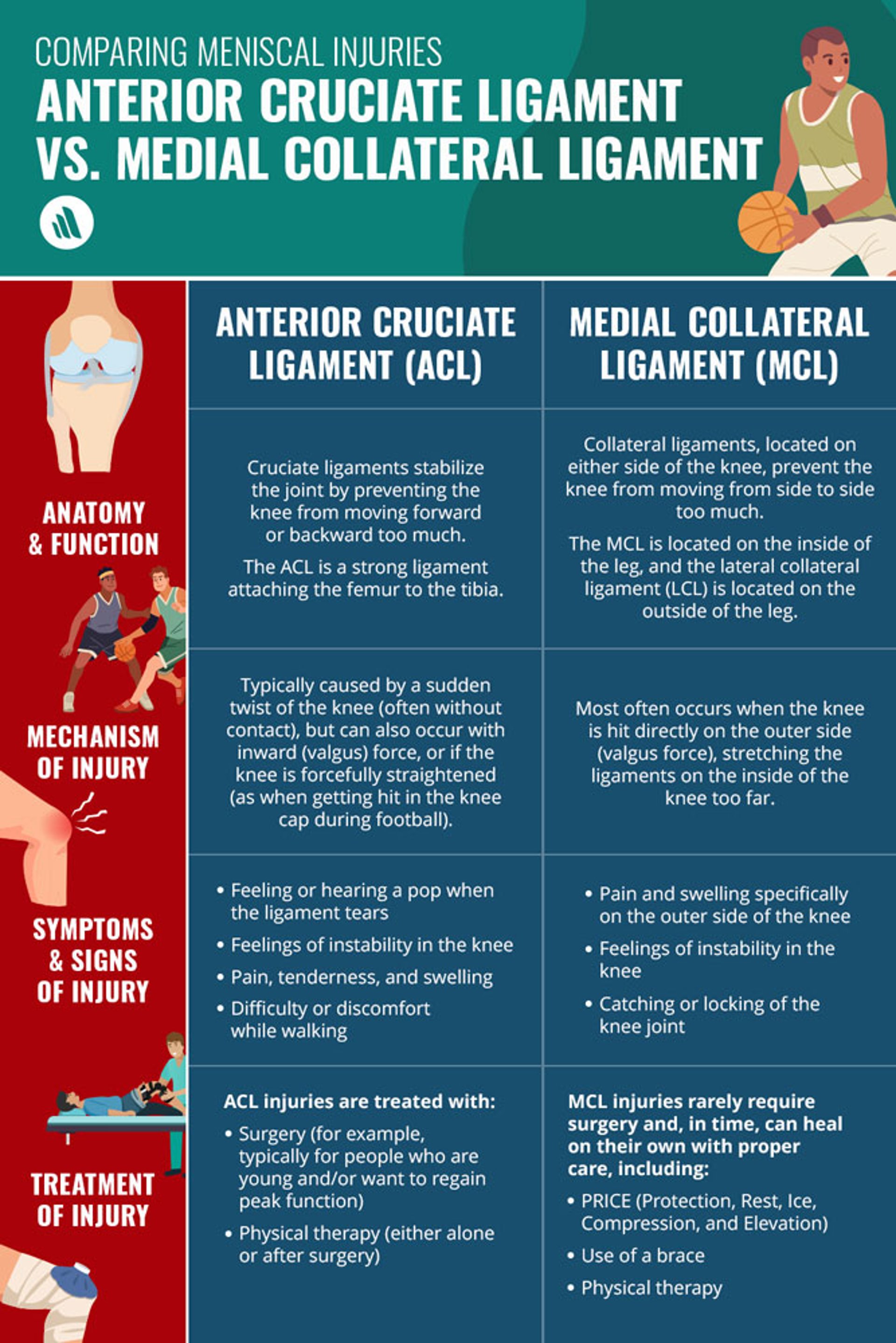 Image:Meniscal Injuries: ACL and MCL-Merck Manual Consumer Version