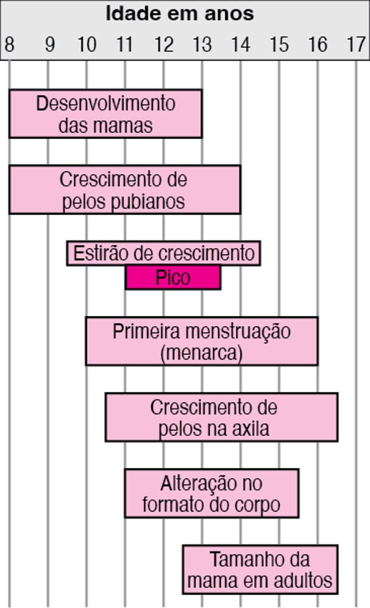 A puberdade nas meninas - Problemas de saúde feminina - Manual MSD ...