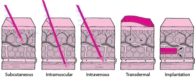 Drug Administration - Drugs - MSD Manual Consumer Version