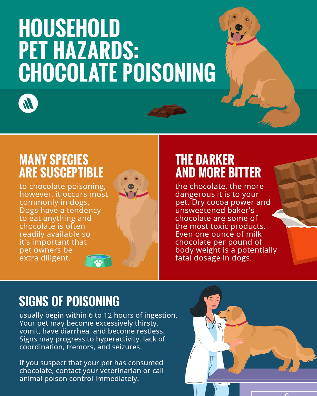 Infographics: Household Pet Hazards Chocolate Poisoning-MSD Veterinary ...