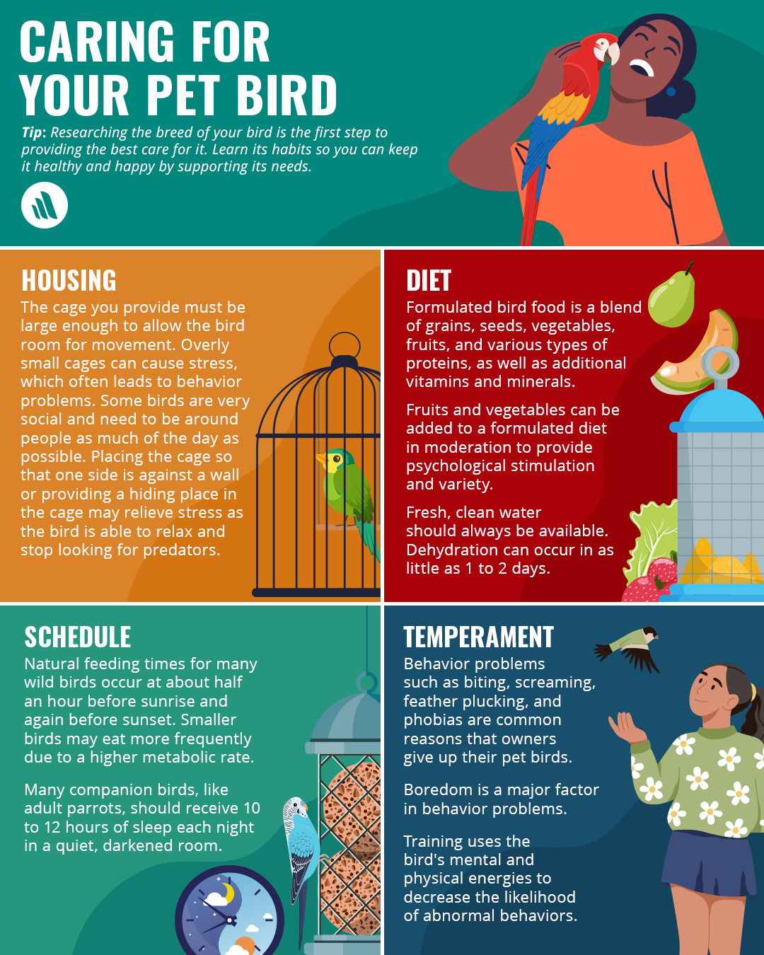 Infographics: Providing A Home For Your Bird-MSD Veterinary Manual