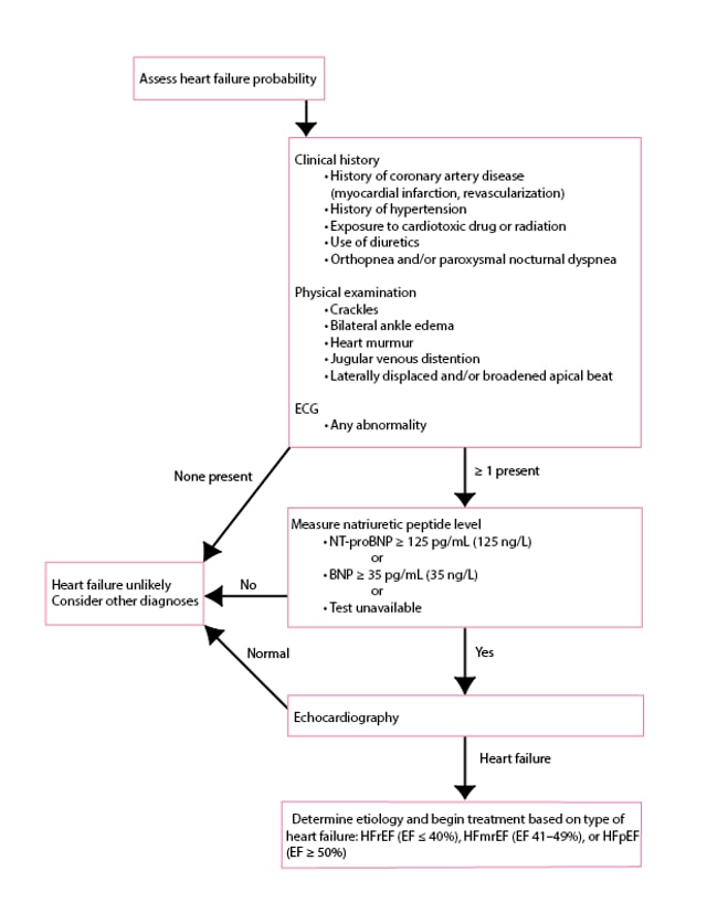 Image:Diagnosis of heart failure of acute onset-MSD Manual Professional ...