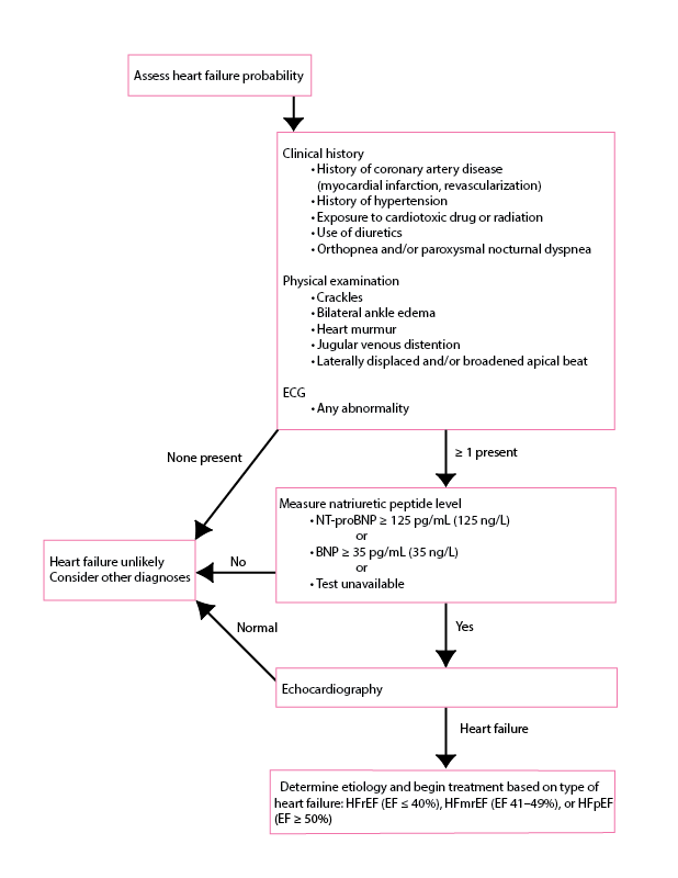 Acute Heart Failure - Cardiovascular Disorders - MSD Manual ...