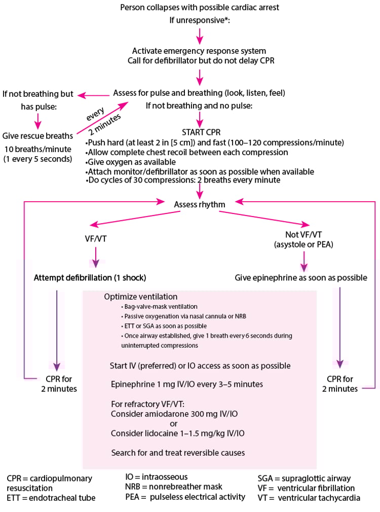 Hồi sinh tim phổi (CPR) ở người lớn - Y học Chăm sóc Trọng tâm - Cẩm ...