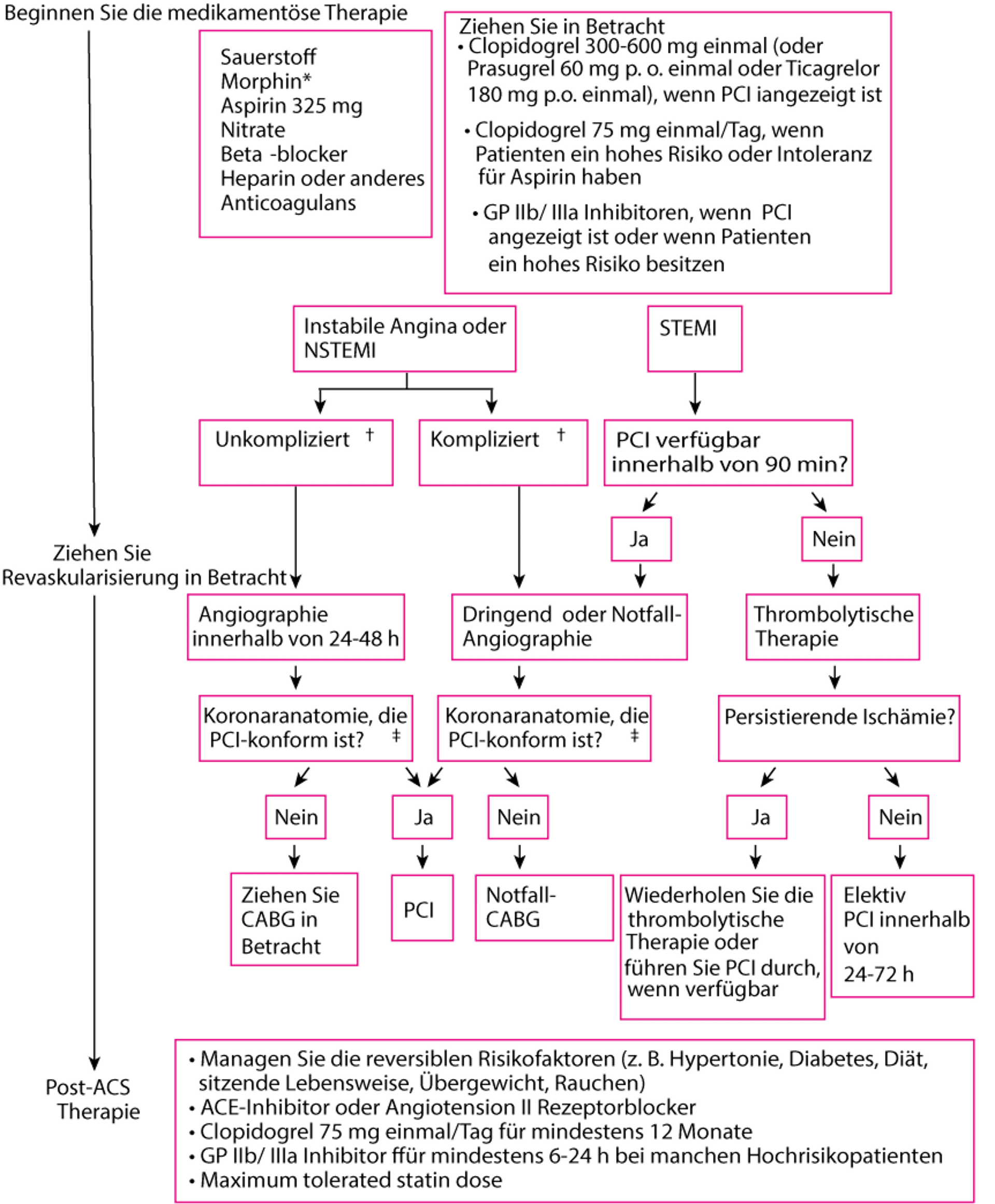 Image:Vorgehensweise bei akuten Koronarsyndromen-MSD Manual Profi-Ausgabe