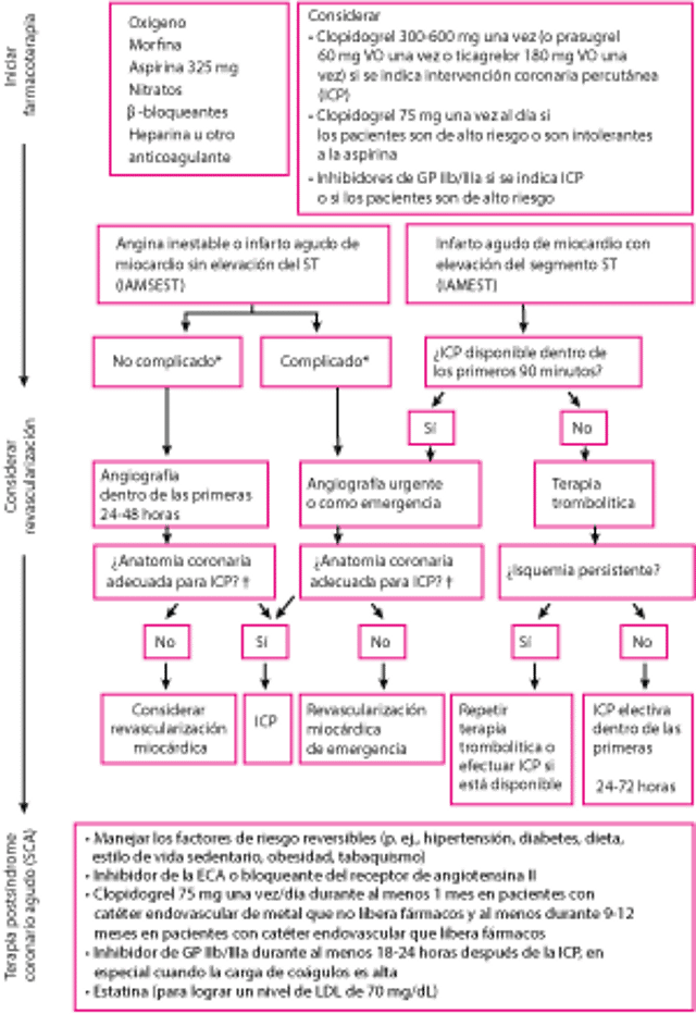 Image:Aproximación a los síndromes coronarios agudos-Manual Merck versión para profesionales