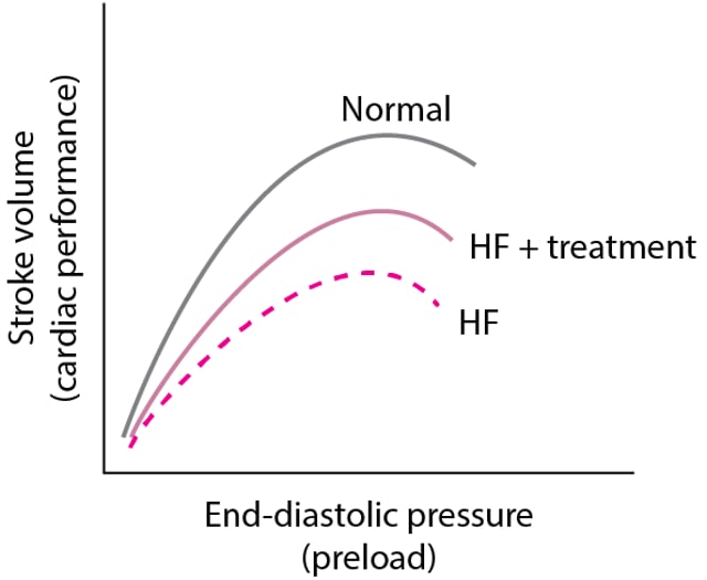 Image:Frank-Starling principle-Merck Manual Professional Edition