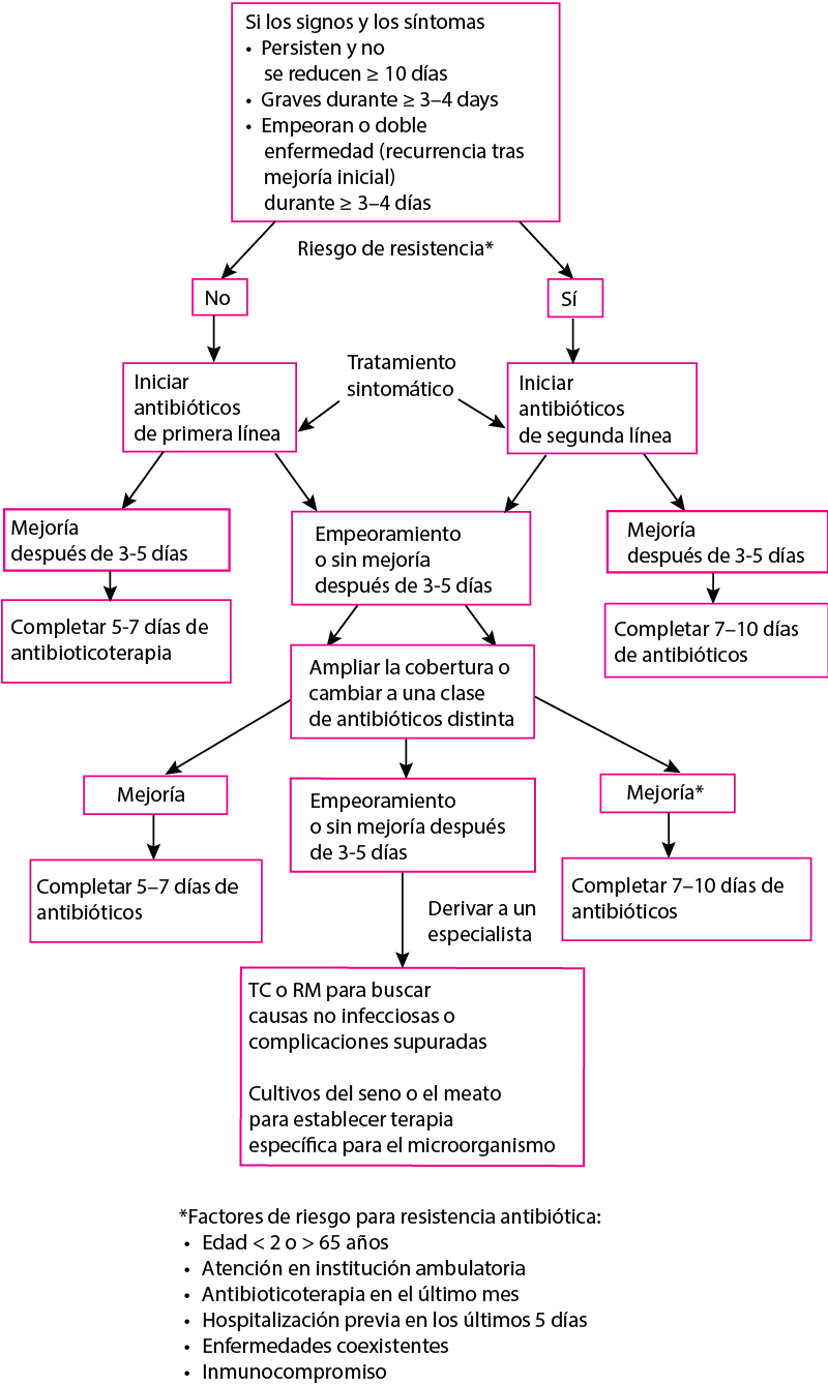 Sinusitis - Trastornos otorrinolaringológicos - Manual MSD versión para ...