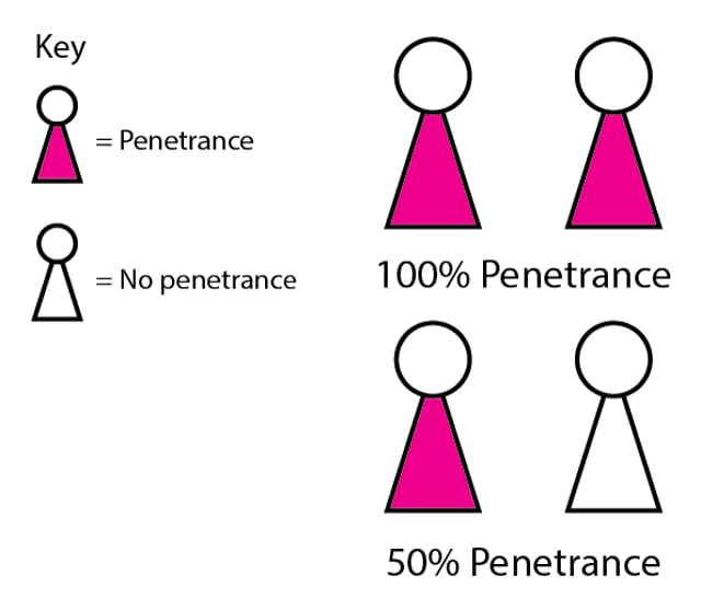 Image:Penetrance and expressivity-Merck Manual Consumer Version