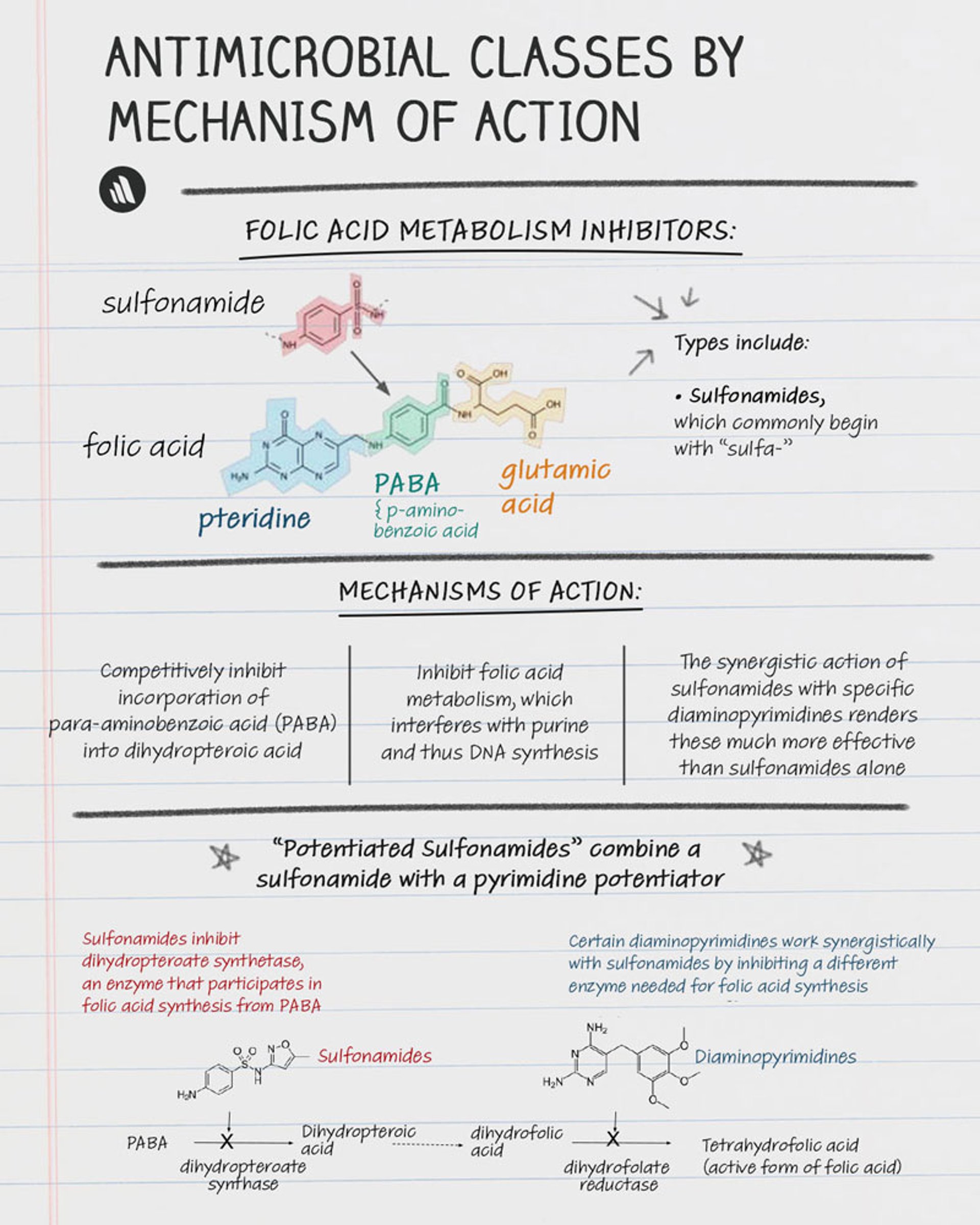 Image:Mechanisms of Action: Folic Acid Metabolism Inhibitors-Merck ...