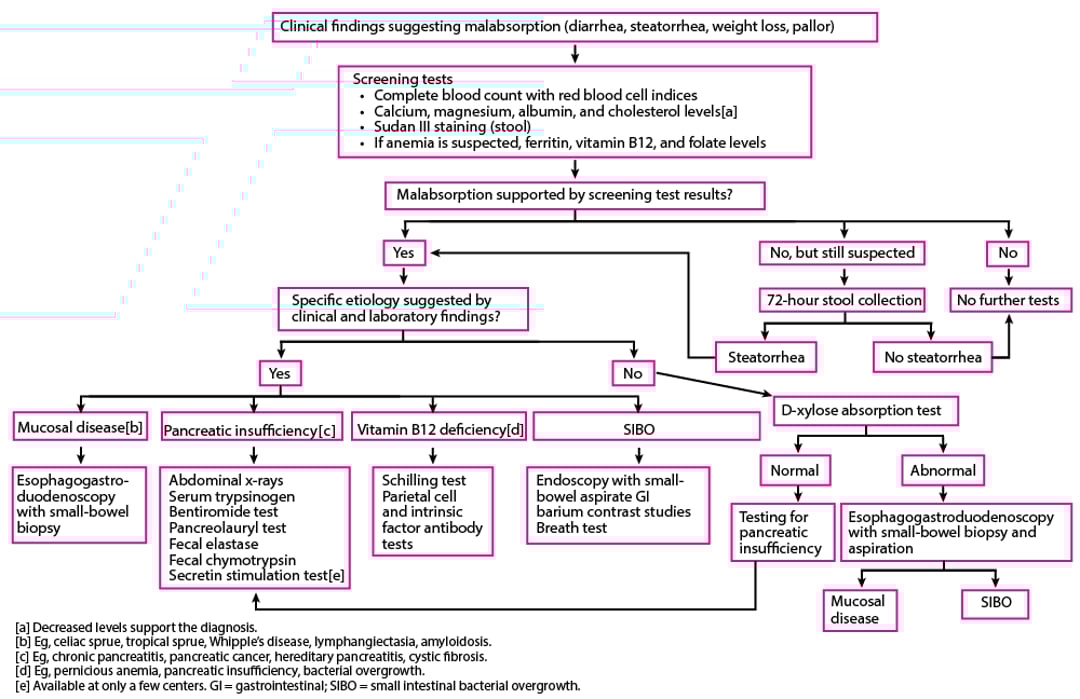 Overview of Malabsorption - Gastrointestinal Disorders - MSD Manual ...