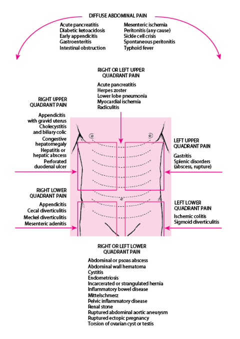 Evaluation of the Gastrointestinal Patient - Gastroenterology - Merck ...