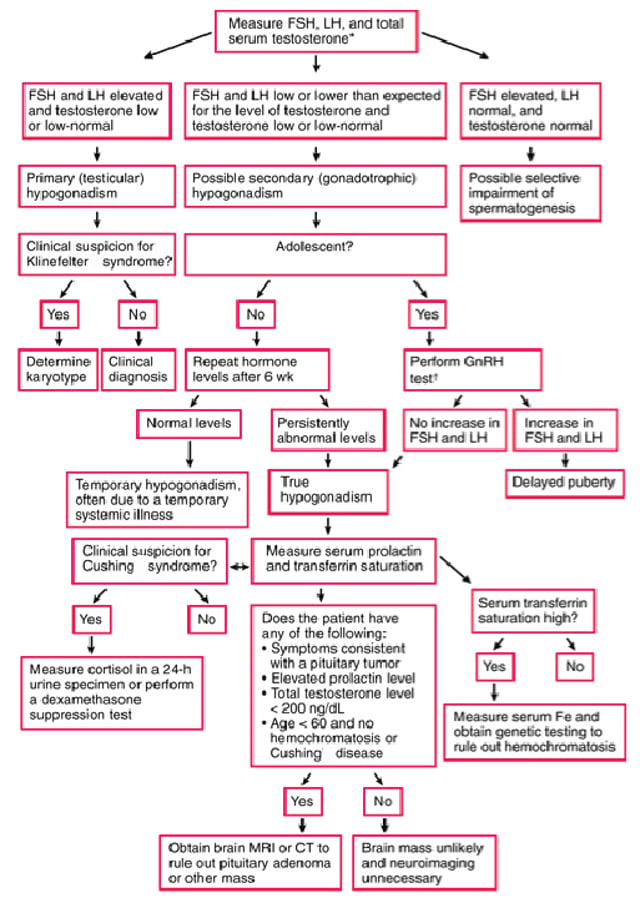 Male Hypogonadism - Endocrinology - MSD Manual Professional Edition