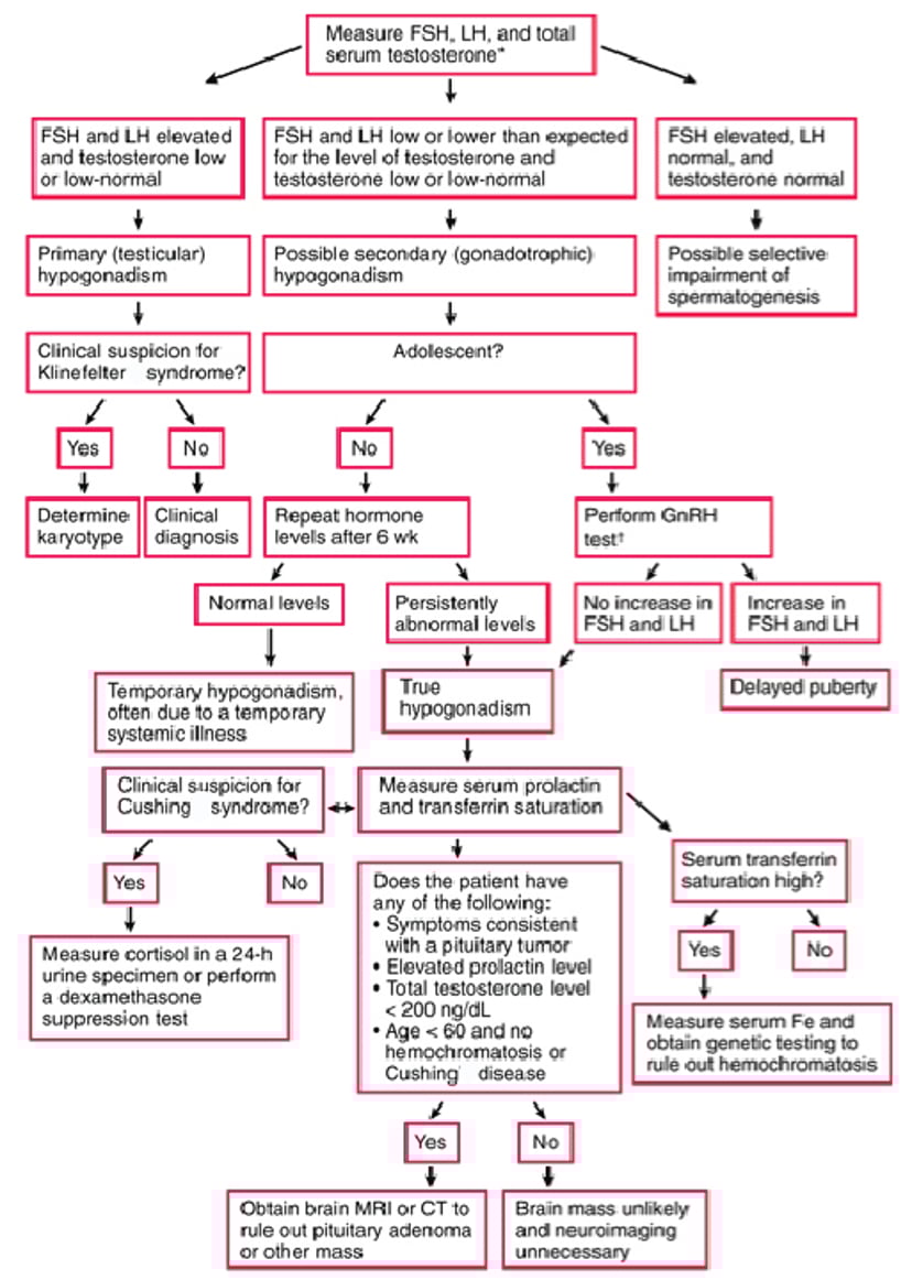 Male Hypogonadism - Genitourinary Disorders - MSD Manual Professional ...