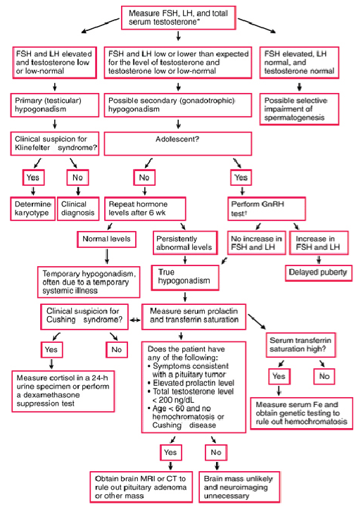 Male Hypogonadism - Endocrinology - MSD Manual Professional Edition