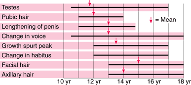 Physical Growth and Sexual Maturation of Adolescents - Pediatrics ...