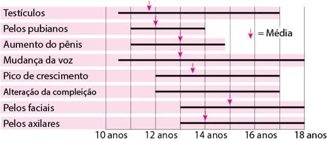 Puberdade precoce - Puberdade precoce - Manuais MSD edição para ...
