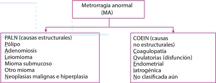 Image:Sistema de clasificación PALM-COEIN-Manual MSD versión para ...