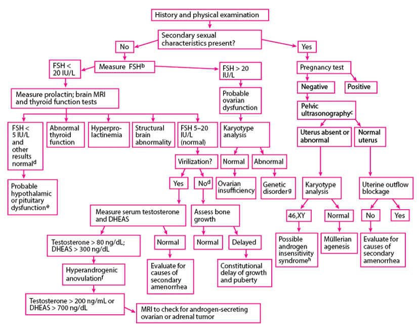 Amenorrhea - Gynecology and Obstetrics - Merck Manual Professional Edition
