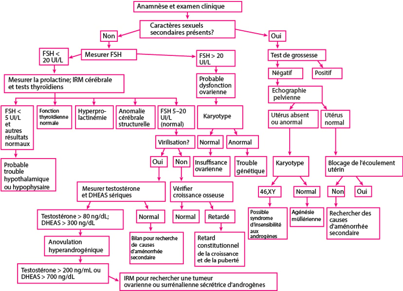 Aménorrhée - Gynécologie et obstétrique - Édition professionnelle du ...