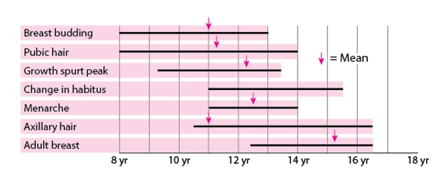 Image:Puberty—When Female Sexual Characteristics Develop-MSD Manual ...