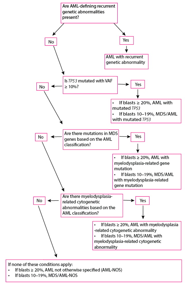 Acute Myeloid Leukemia (AML) - Oncology - MSD Manual Professional Edition