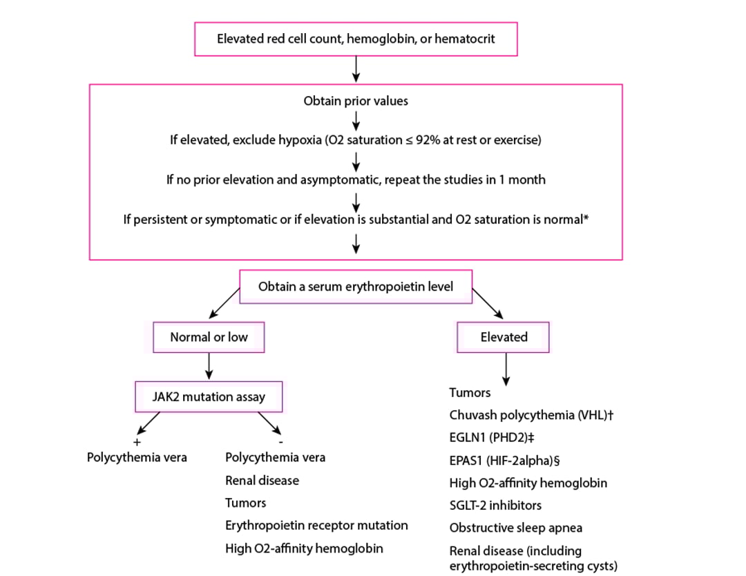 Image:Algorithm for the Diagnosis of Erythrocytosis-MSD Manual ...