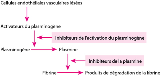 Revue générale de l'hémostase - Revue générale de l'hémostase - Édition ...
