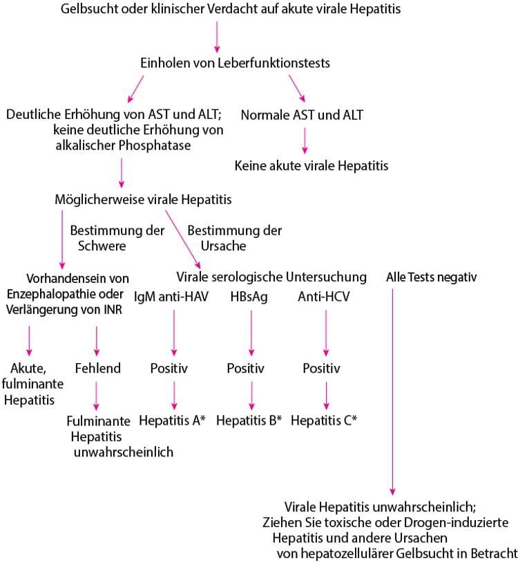 Überblick über die akute Virushepatitis - Erkrankungen der Leber, der ...