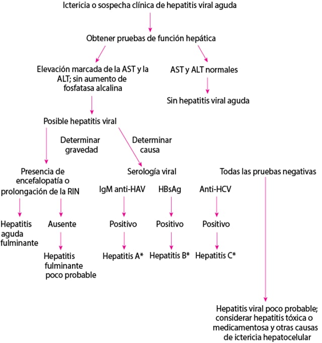 Image:Aproximación diagnóstica simplificada a las posibles hepatitis ...