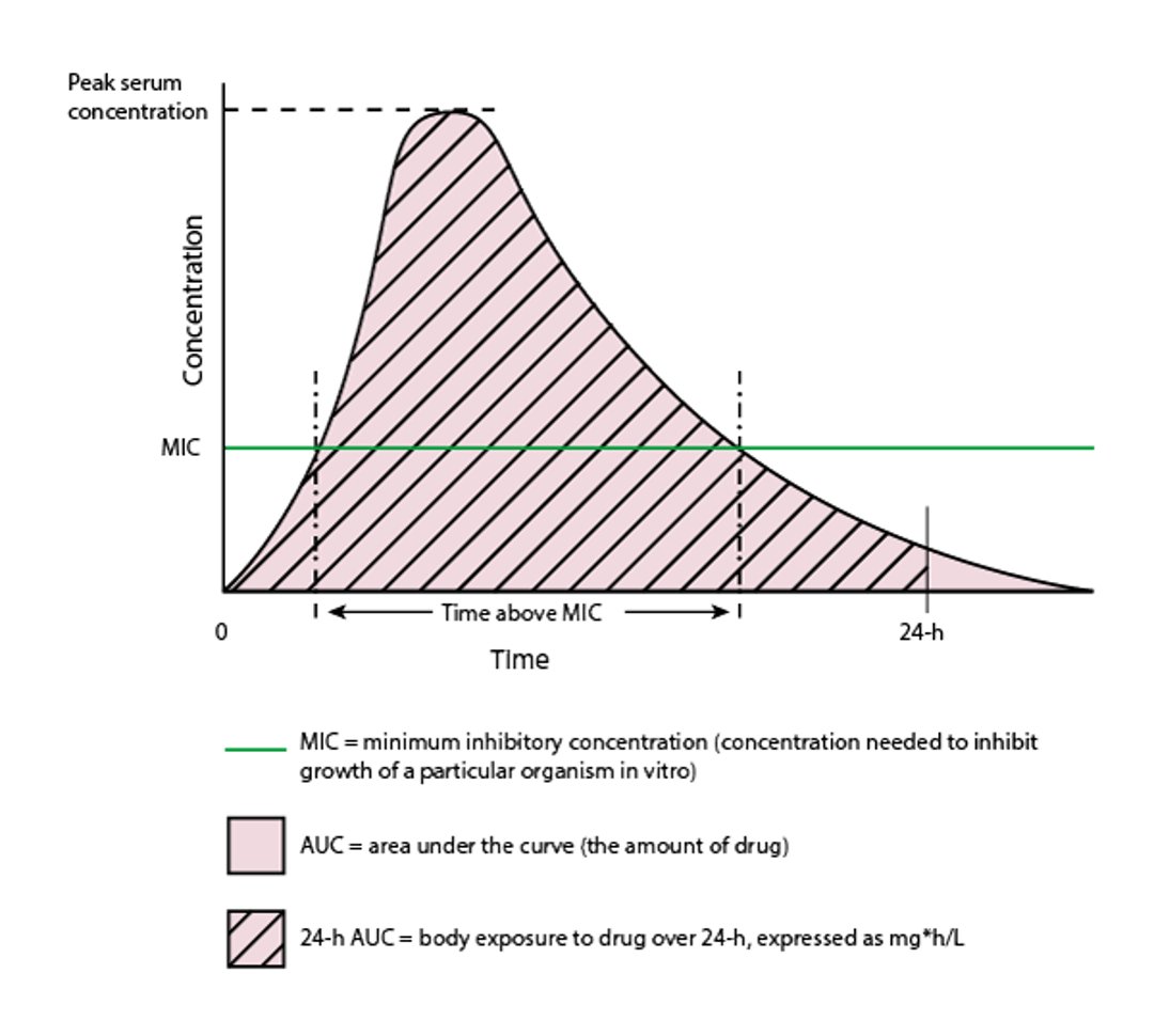 Image Time Vs Concentration Of A Single Dose Of A Theoretical Antibiotic Msd Manual Professional