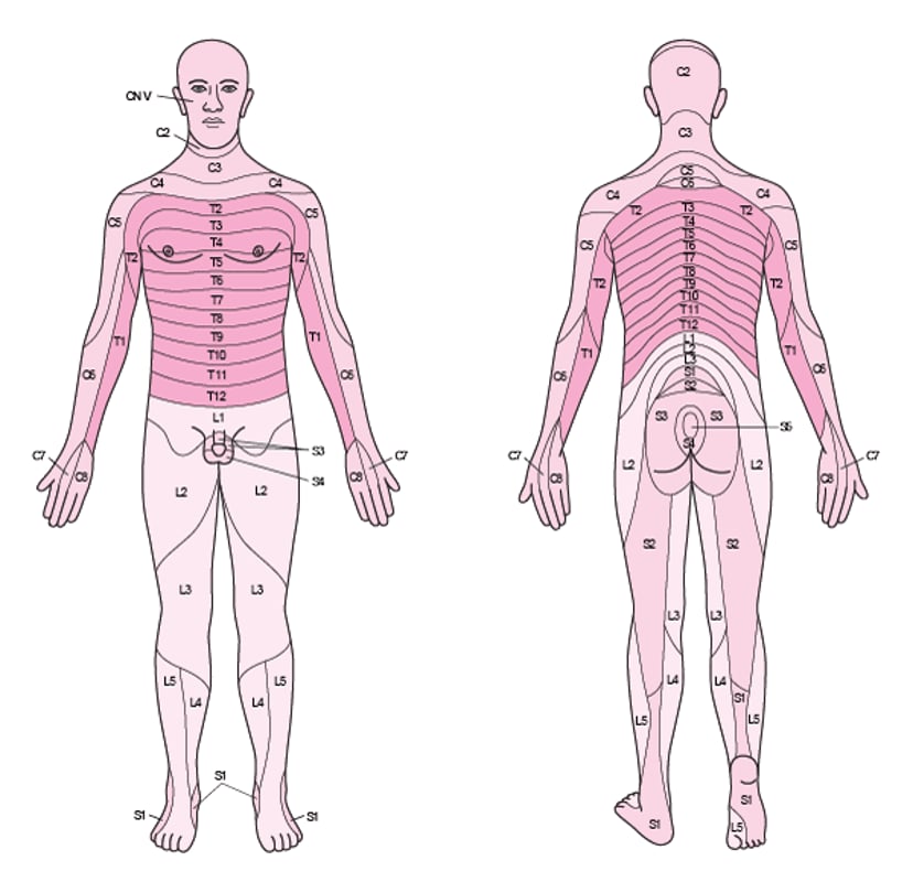 How to Assess Sensation - Neurologic Disorders - MSD Manual ...