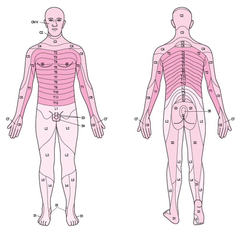 Comment évaluer la sensibilité - Troubles neurologiques - Édition ...