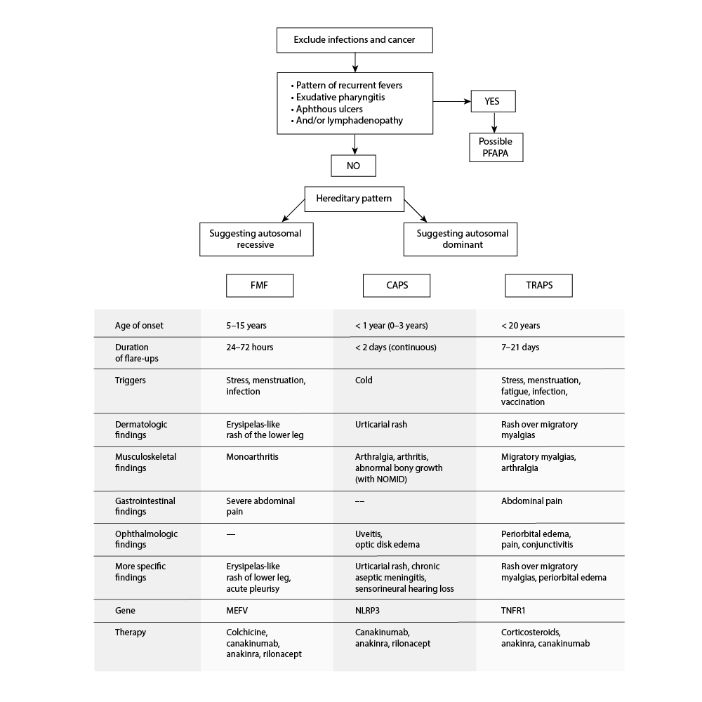 Síndrome TRAPS (síndrome periódico asociado al receptor del factor de ...