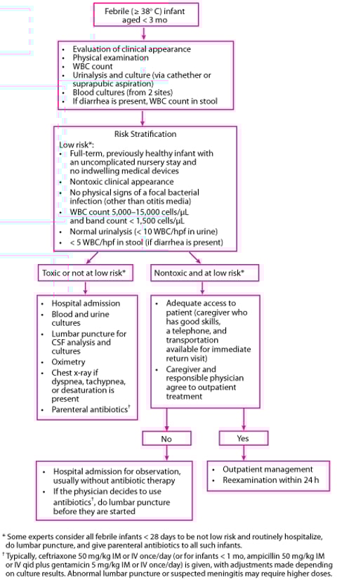 Image:Avaliação e tratamento do lactente febril com