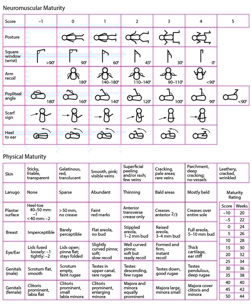 Physical Examination of the Newborn - Pediatrics - MSD Manual ...
