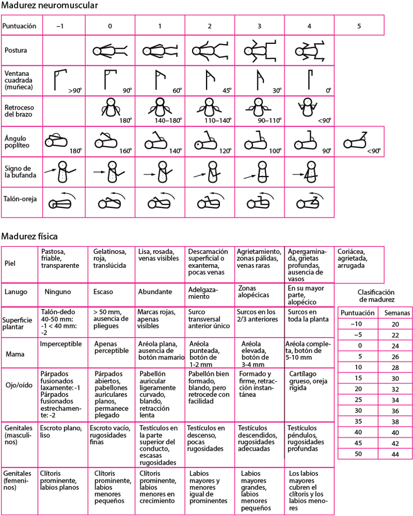Image:Evaluación de la edad gestacional: nueva escala de Ballard-Manual ...