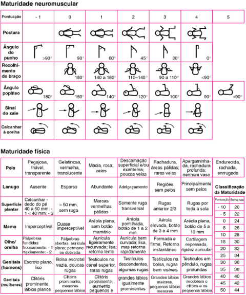Image:Avaliação da idade gestacional — nova escala de Ballard-Manuais ...