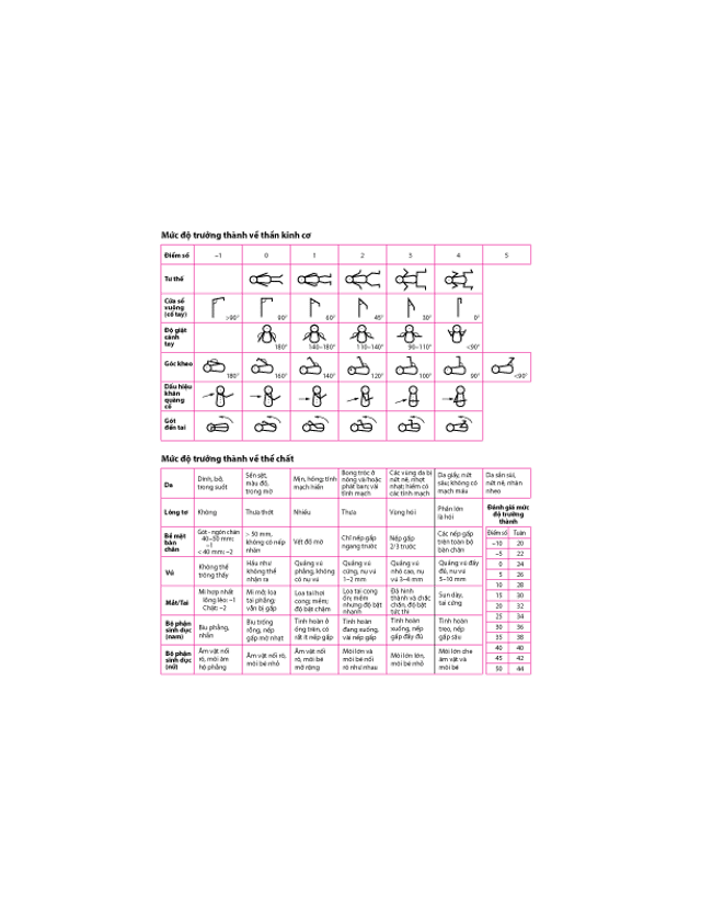 Tuổi thai - Khoa nhi - Cẩm nang MSD - Phiên bản dành cho chuyên gia