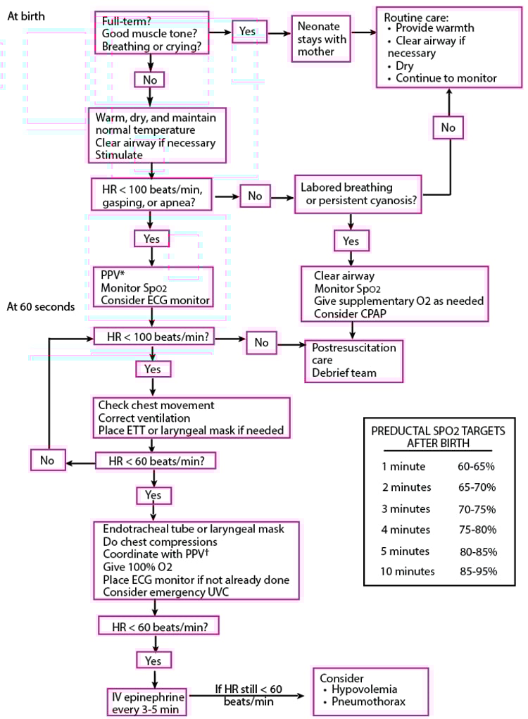 Image:Algorithm for Resuscitation of Neonates-MSD Manual Professional ...