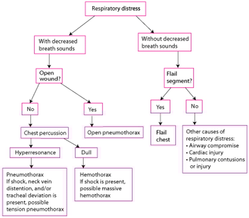 Image:A Simplified, Rapid Assessment of Patients With Thoracic Trauma ...