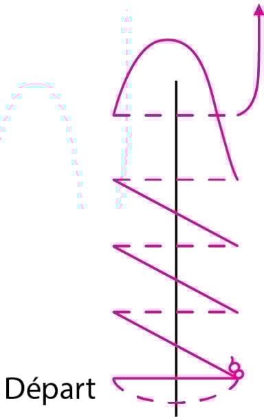 Image:Surjet-Édition professionnelle du Manuel MSD