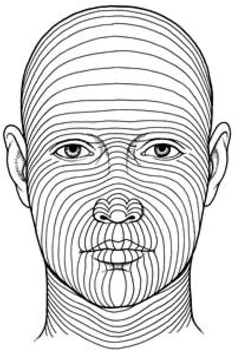 Image:Representación de las líneas de tensión mínima de la piel-Manual ...