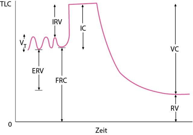 Image:Normale Lungenvolumen-MSD Manual Profi-Ausgabe