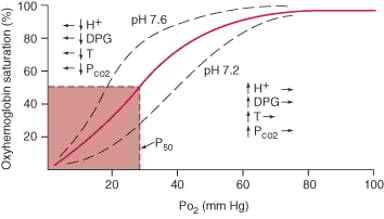 Measurement of Gas Exchange - Pulmonary Disorders - Merck Manual ...