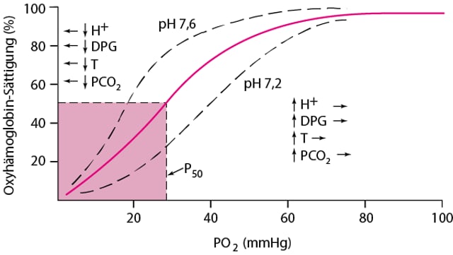 Image:Oxyhemoglobin-Dissoziationskurve-MSD Manual Profi-Ausgabe
