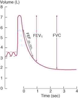 Image:Normal Spirogram-Merck Manual Professional Edition