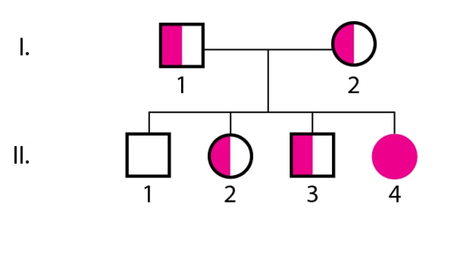 Single-Gene Defects - Special Subjects - MSD Manual Professional Edition