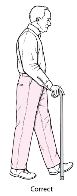 Image:Correct Cane Height-MSD Manual Professional Edition