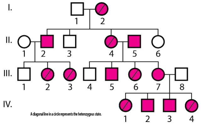 Single-Gene Defects - Special Subjects - MSD Manual Professional Edition